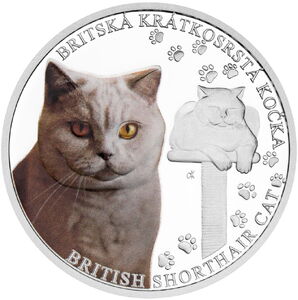 コイン: 1 Dollar (Cat Breeds - British shorthair cat) (ニウエ(Numismatic ...