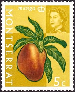 Stamp: Mango (Montserrat) (Agriculture Products) Mi:MS 162,Sn:MS 163,Yt ...