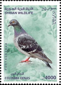 Stamp: Stock Pigeon (Columba oenas) (Syria(Syrian Wildlife : Birds ...