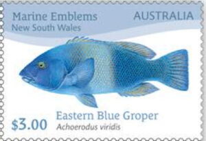 Stamp: Eastern Blue Groper (Achoerodus viridis) (Australia(Marine ...