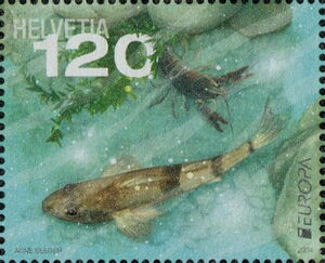 Stamp: Zingel Asper, White-Clawed Crayfish, and Common Water Moss ...