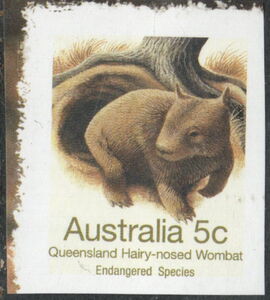 Stamp: Queensland Hairy-nosed Wombat (Lasiorhinus krefftii) (Australia ...
