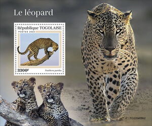 Stamp: Leopard (Panthera pardus) (Togo(Leopard (2022)) Yt:TG BF2505