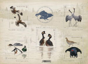 Stamp: Courtship Dances of Birds (Belgium(Courtship Dances of Birds ...