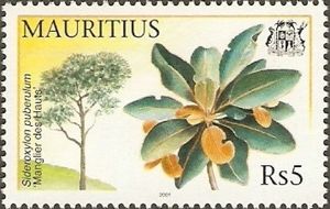 Stamp: Sideroxylon puberulum (Mauritius(Trees) Mi:MU 930,Sn:MU 933,Yt ...
