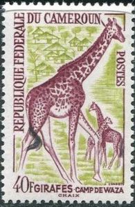 Stamp: Giraffe (Giraffa camelopardalis) (Cameroon(Native animals) Mi:CM ...