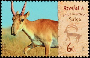 Stamp: Saiga (Saiga tatarica) (Romania(Extinct Species from the Fauna ...