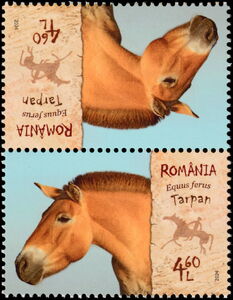Stamp: Wild Horse (Equus ferus) (Romania(Extinct Species from the Fauna ...