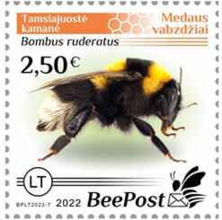 Stamp: Honey Insects (Lithuania: Cinderella Stamps(Bee Post : Honey ...