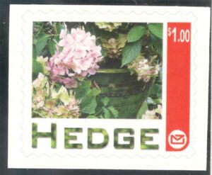 Stamp: HEDGE - Chrysanthemums (New Zealand: Personalized Stamps(Custom ...