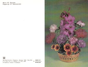 Tarjeta Postal: Congratulations! (Unión Soviética, URSS(- Greetings ...