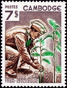 Stamp: Man Planting Tree (Cambodia(National Tree Planting Day) Mi:KH ...