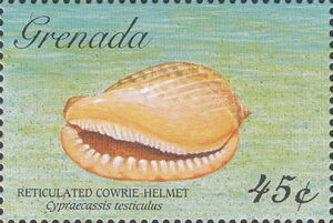 Stamp: Reticulated Cowrie Helmet (Cypraecassis testiculus) (Grenada ...