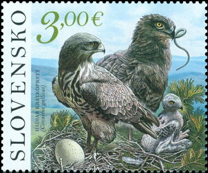 Stamp: Short-Toed Snake Eagle (Circaetus gallicus) (SlovakiaMi:SK 1022 ...