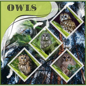 Stamp: Fauna Owls II (Rwanda: Illegal Stamps(Owls II (2018)) Col:RW ...