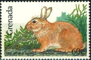 Stamp: European Rabbit (Oryctolagus cuniculus) (Grenada(Wildlife) Mi:GD ...