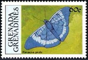 Stamp: Prola Beauty (Panacea prola) (Grenada Grenadines(Butterflies ...