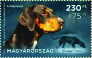 Stamp: Transylvanian Hound (Hungary(Hunting Dog Breeds (2024)) Mi:HU ...
