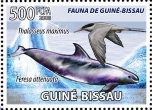 Stamp: Thalasseus maximus, Feresa attenuata (Guinea-Bissau(Whales, Sea ...