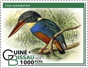 Stamp: Ceyx cyanopectus (Guinea-Bissau(Kingfishers (2022)) Yt:GW 10048