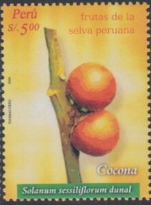 Sello: Cocona (Solanum sessiliflorum dunal) (Perú(Fruits of Peruvian ...