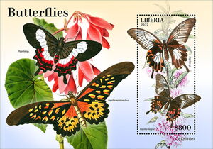 Stamp: Papilio polytes/Papilio sp. (Liberia(Butterflies (2022:1)) Yt:LR ...