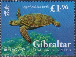 Stamp: Loggerhead Sea Turtle (Caretta caretta) (Gibraltar(Europa (C.E.P ...