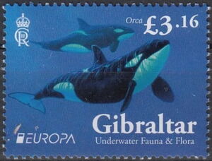 Marke: Orca (Orcinus orca) (Gibraltar(Europa (C.E.P.T.) 2024 ...
