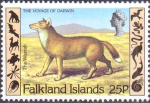 Stamp: Warrah (Dusicyon australis) (Falkland Islands(Charles Darwin) Mi ...