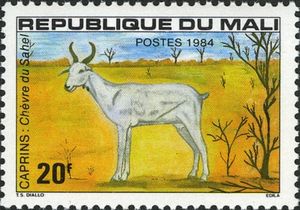 Stamp: Sahel Goat (Capra aegagrus hircus) (Mali(Goats) Mi:ML 983,Sn:ML ...