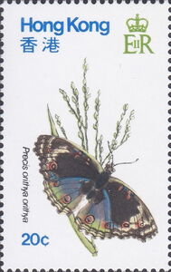 Stamp: Blue Pansy (Precis orithya) (Hong Kong(Butterflies (1979)) Mi:HK ...