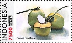 Stamp: Coconut (Cocos nucifera) (Indonesia(Fruits (2024)) Yt:ID 3262 📮