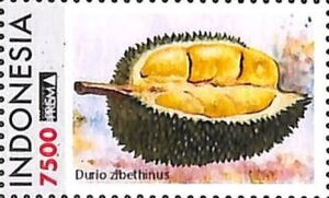 Stamp: Durián (Durio zibethinus) (Indonesia(Fruits (2024)) Yt:ID 3263