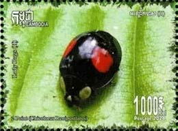 Stamp: Kidney-Spotted Ladybug (Chilocorus renipustulatus) (Cambodia ...