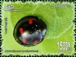 Stamp: Four-Spotted Ladybug (Brumus quadripustulatus) (Cambodia ...
