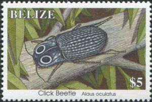 Stamp: Click Beetle (Alaus oculatus) (Belize(Insects) Mi:BZ 1144I,Sn:BZ ...