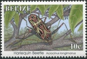 Stamp: Harlequin Beetle (Acrocinus longimanus) (Belize(Insects) Mi:BZ ...