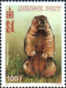 Stamp: Tarbagan Marmot (Marmota sibirica) (Mongolia(Marmot) Mi:MN 3201 ...