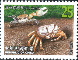 切手: Milky Fiddler Crab (Uca lactea) (台湾(Crabs) Mi:TW 2966,Sn:TW 3567,Yt ...