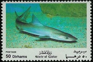 Stamp: Hooktooth shark (Chaenogaleus macrostoma) (Qatar) (Fishes (1991 ...