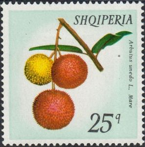 Stamp: Strawberry-Tree Fruit (Albania(Wild Fruits and Nuts) Mi:AL 1539 ...