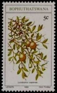 Stamp: Landolphia capensis (Bophuthatswana(Edible Wild Fruits) Mi:ZA-BP ...