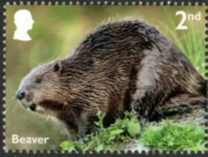 Stamp: Beaver (Castor sp) (United Kingdom of Great Britain & Northern ...