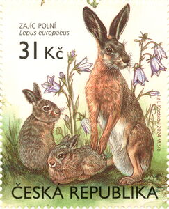 Stamp: European Hare (Lepus europaeus) (Czech Republic(Animals and ...