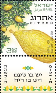 Stamp: Citron (Citrus medica) (Israel(Festivals 2024 : The Four Species ...