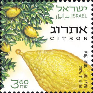 Stamp: Citron (Citrus medica) (Israel(Festivals 2024 : The Four Species ...