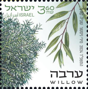 Timbre: Willow (Salix sp.) (Israël(Festivals 2024 : The Four Species ...
