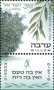 Stamp: Willow (Salix sp.) (Israel(Festivals 2024 : The Four Species ...