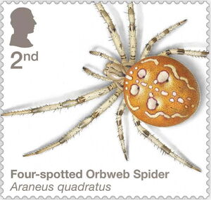 Stamp: Four-Spotted Orb Weaver Spider (Araneus quadratus) (United ...