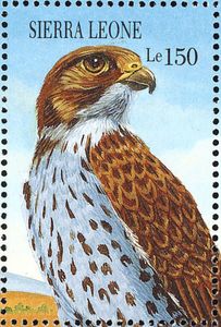 Stamp: Mauritius Kestrel (Falco punctatus) (Sierra Leone) (World Stamp ...